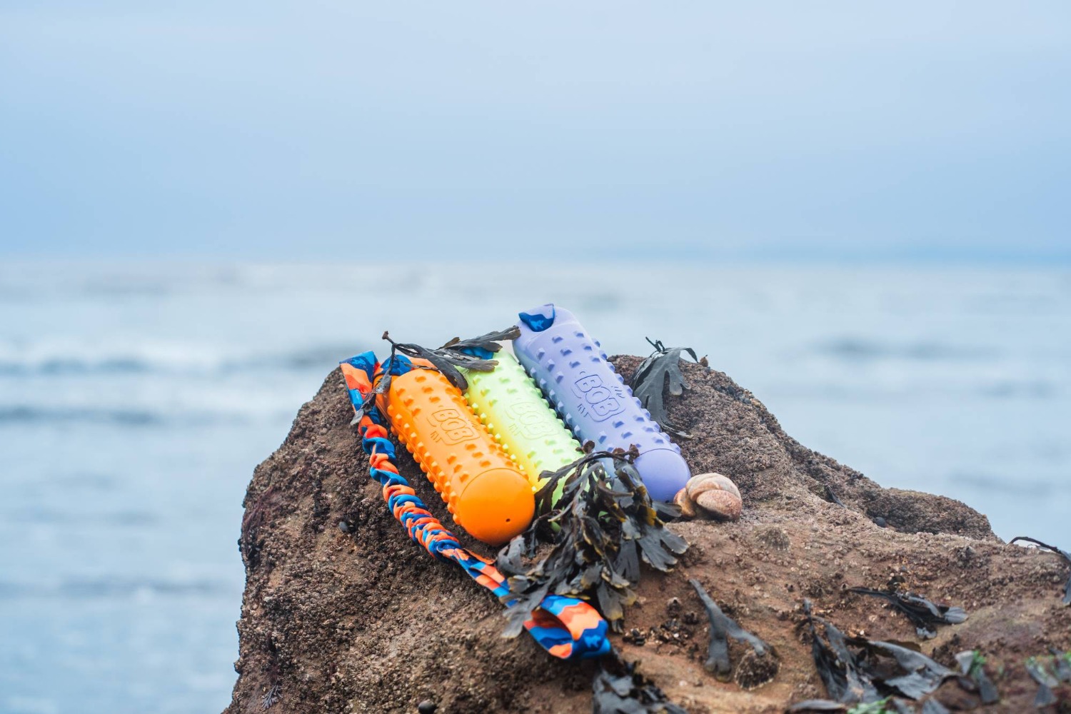 Tug-E-Nuff’s popular water dog toy now on sale in multiple colours ...