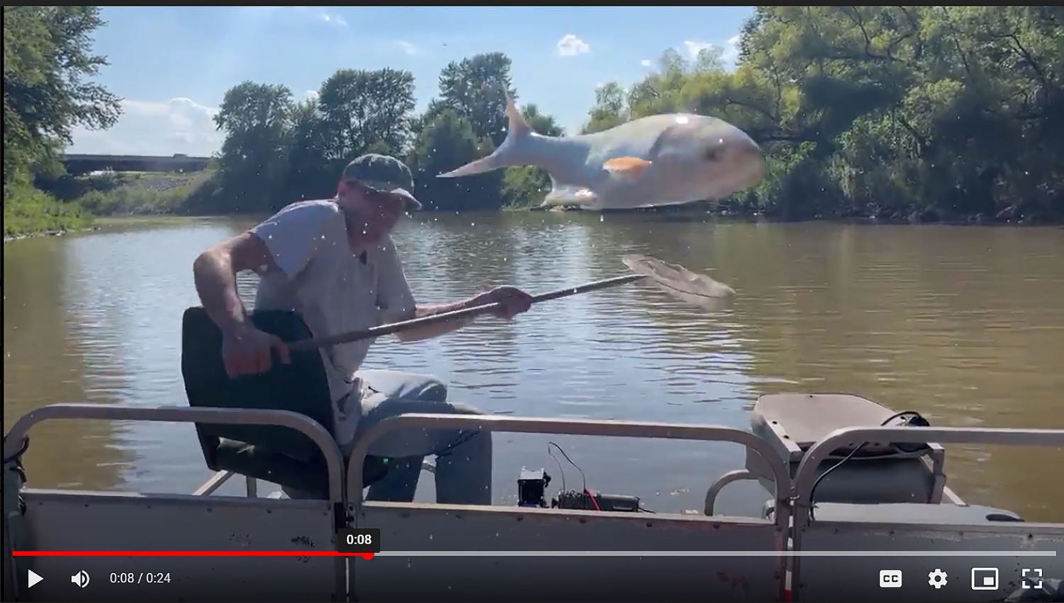 Turning Invasive Carp Into Opportunity: Missouri Coast Joins MDC in ...