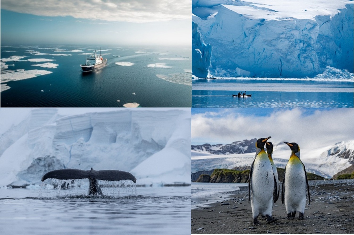 Secret Atlas Revolutionises Small-Group Polar Exploration Launching ...