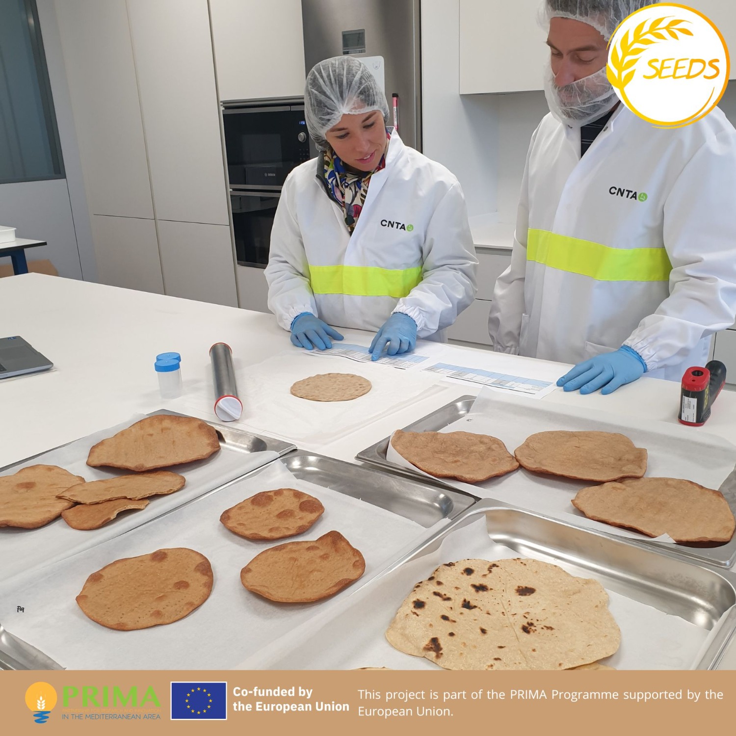 SEEDS Project driving innovation with ancient grains | News By Wire