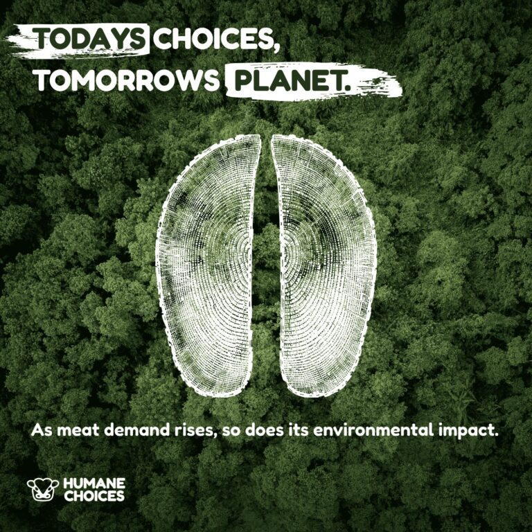 Humane Choices Foundation Is Building the Animal Rights Movement From ...