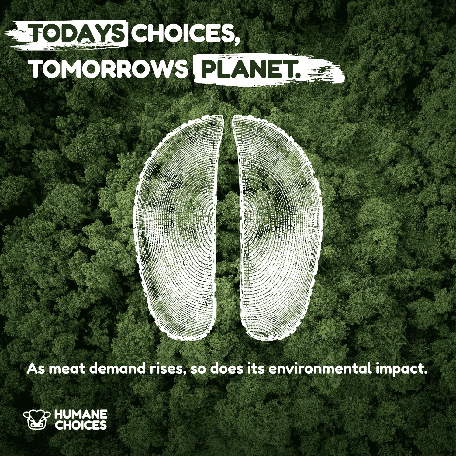 Humane Choices Foundation Is Building the Animal Rights Movement From ...